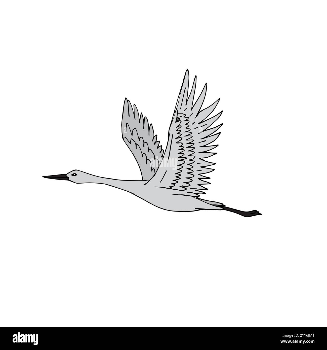 Vector hand drawn doodle sketch gray flying crane bird isolated on ...