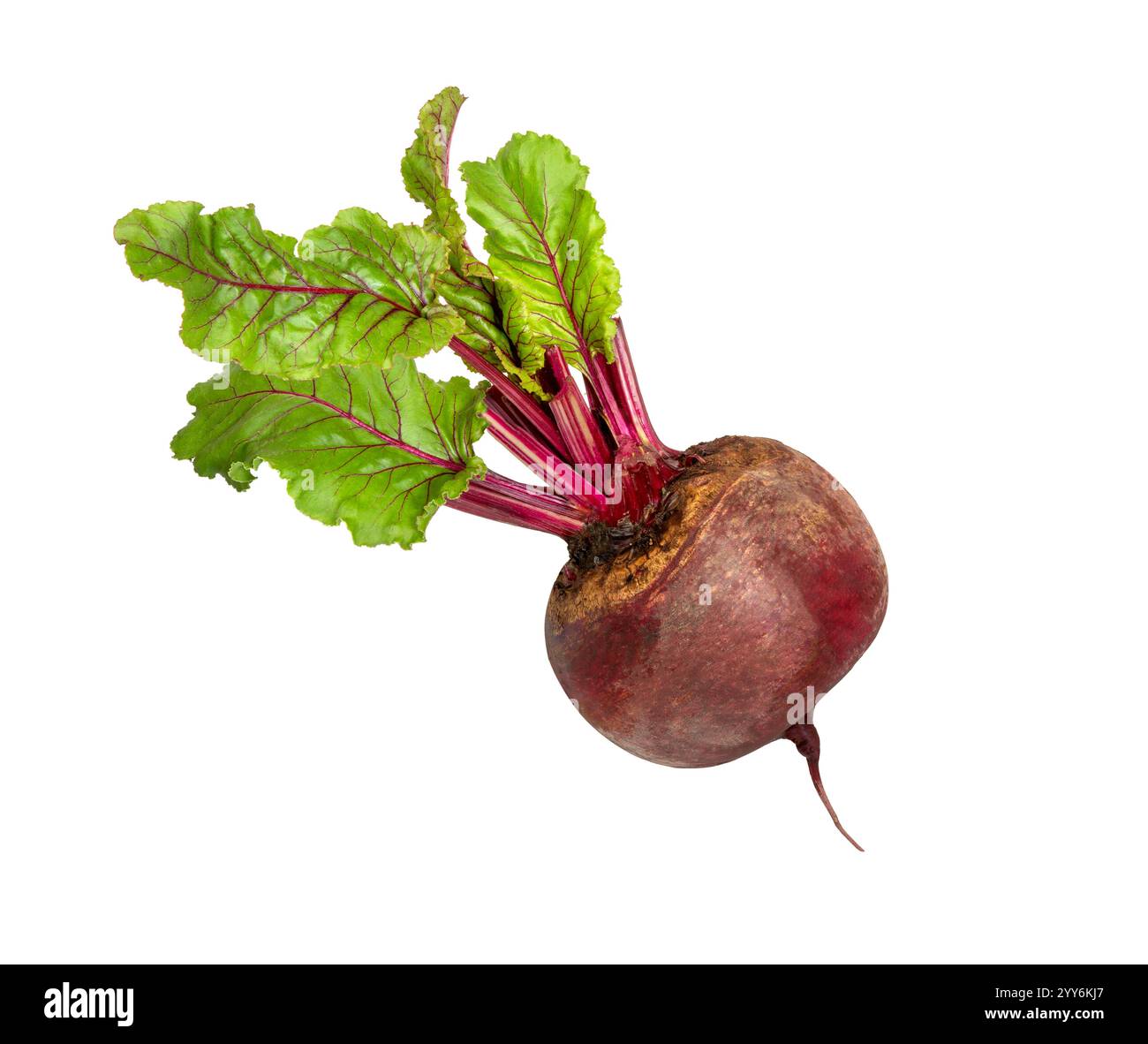 Beetroot on white . One fresh red beet with leaves isolated on white ...