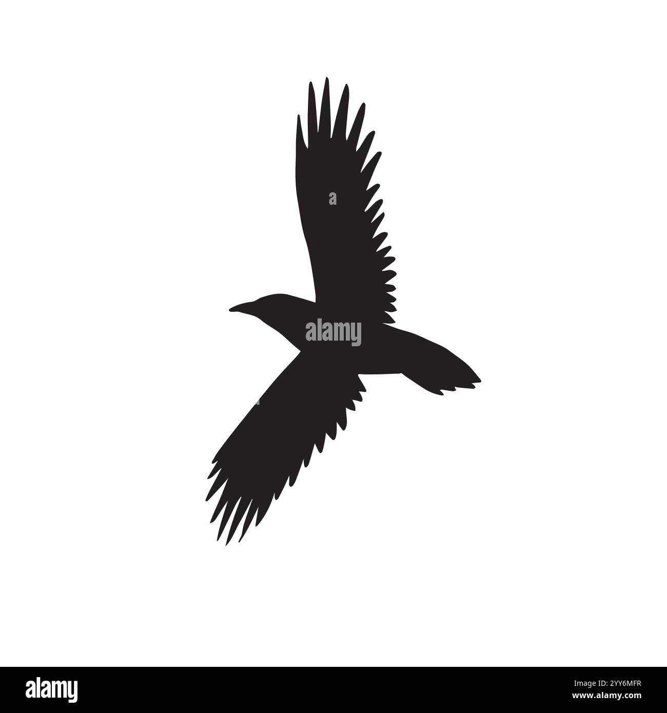 Vector hand drawn flying raven silhouette isolated on white background Stock Vector Image & Art ...