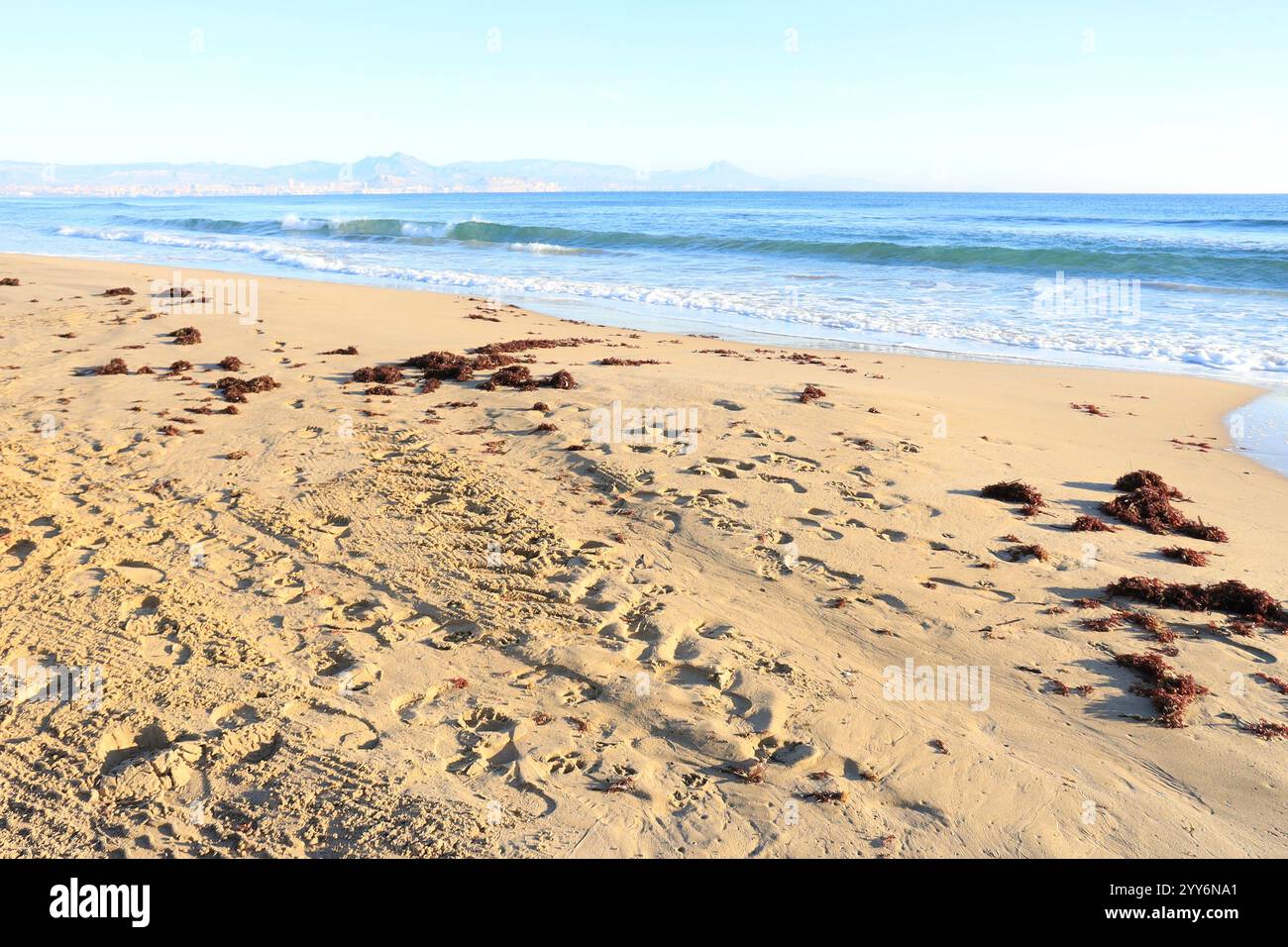 Beautiful morning on the beach in winter in Arenales del Sol, Alicante ...