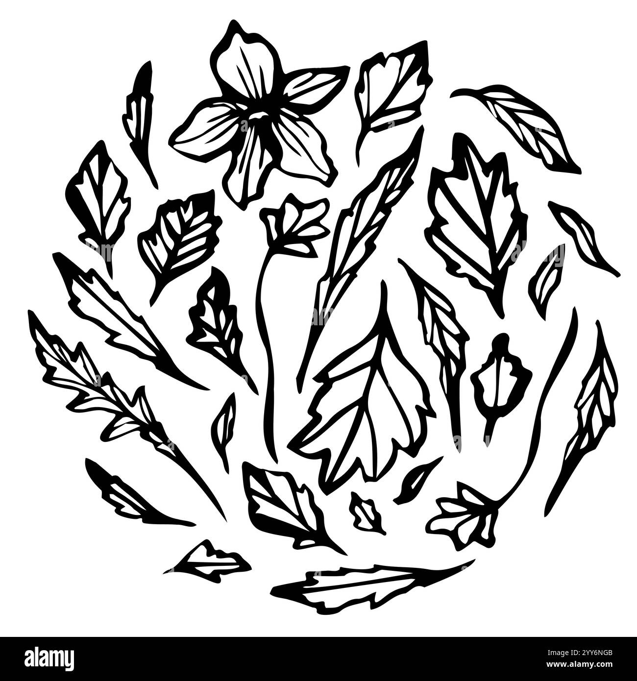Composition with elegant hand drawn botanical line art with flowers and ...