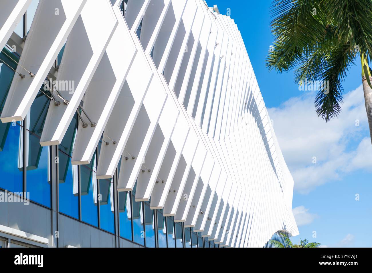 Structural exterior fragment. Modern apartment building and palm tree ...