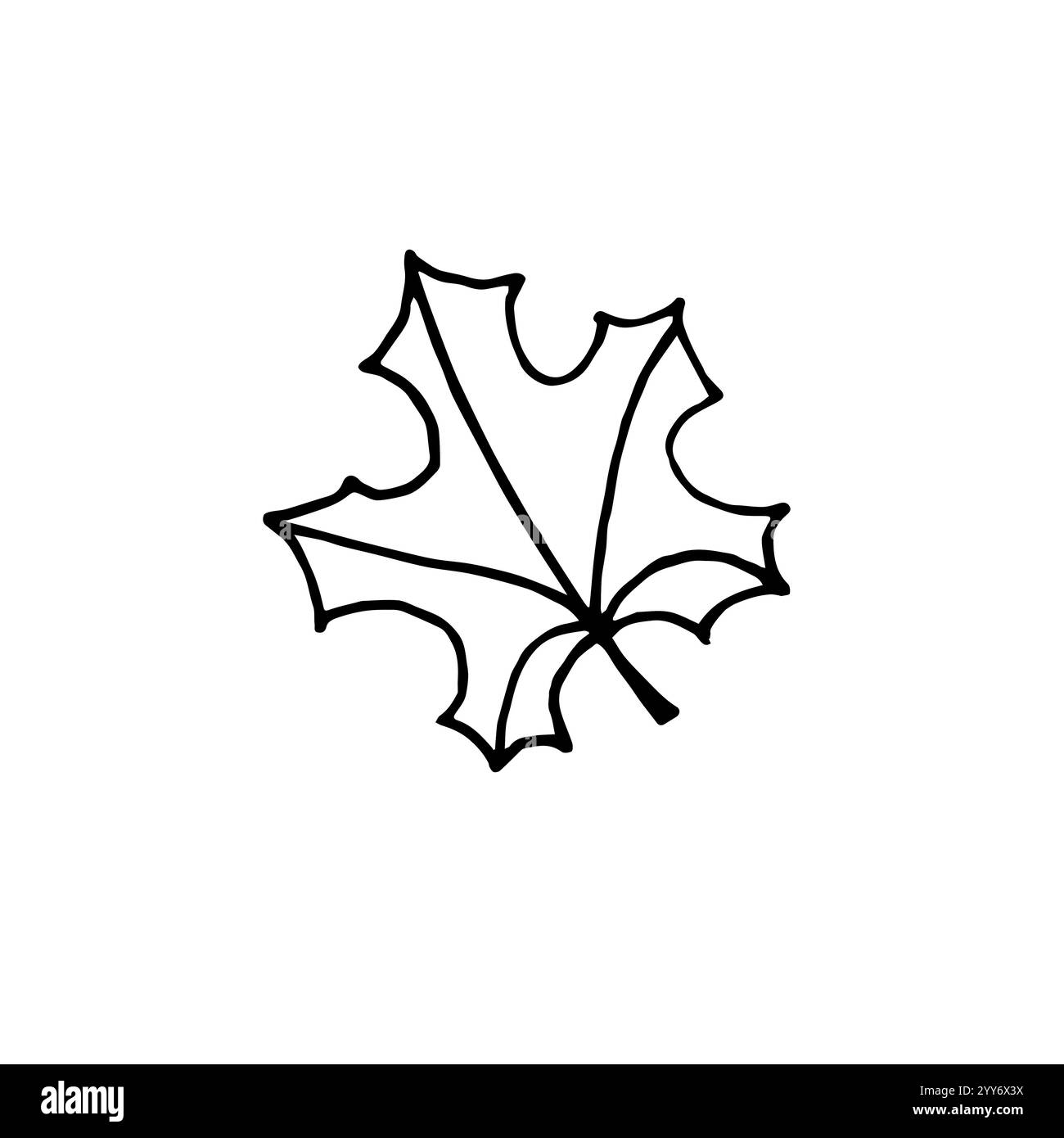 Vector hand drawn doodle sketch maple leaf isolated on white background ...