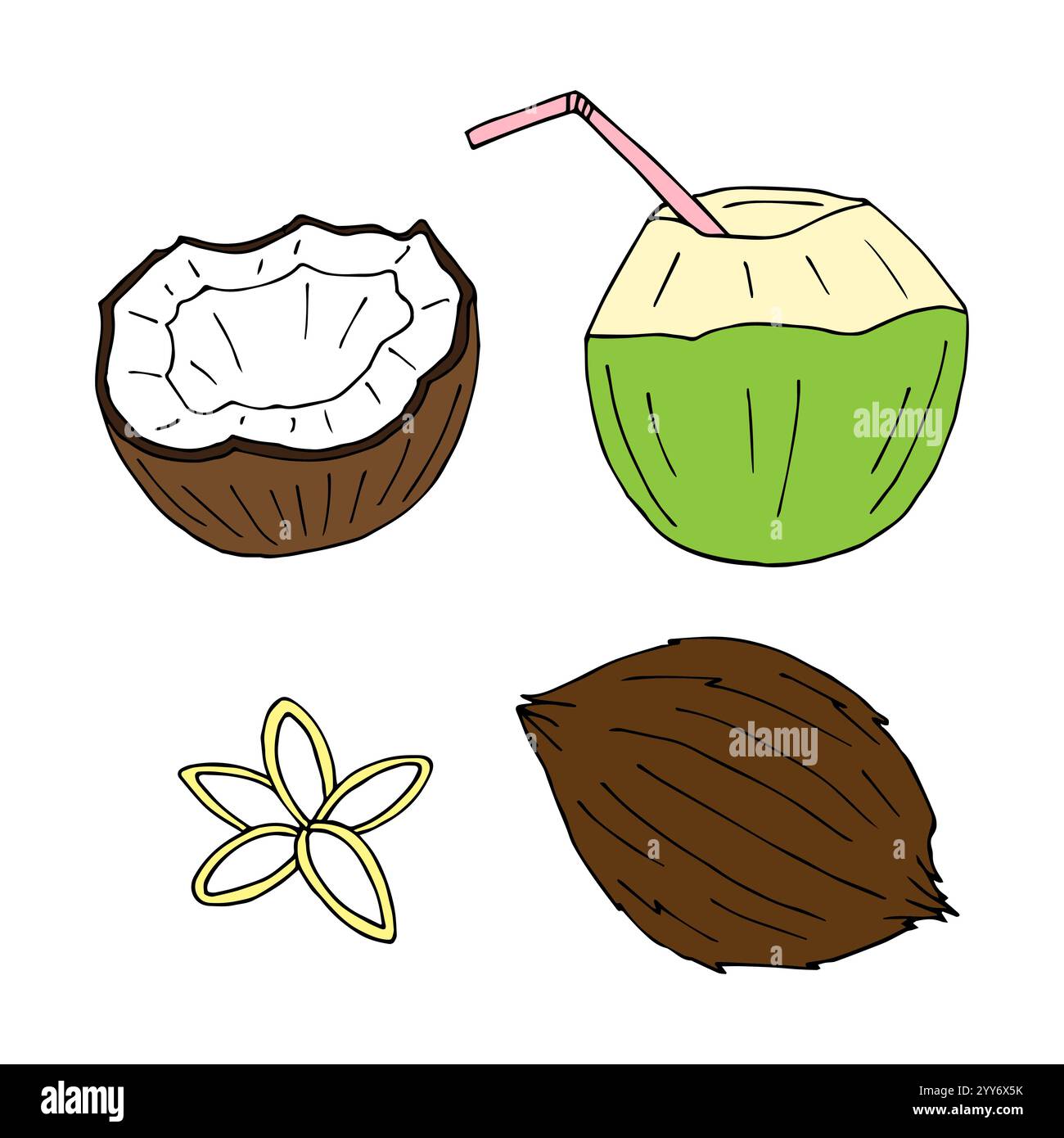 Vector set bundle of colored hand drawn doodle sketch coconut isolated ...