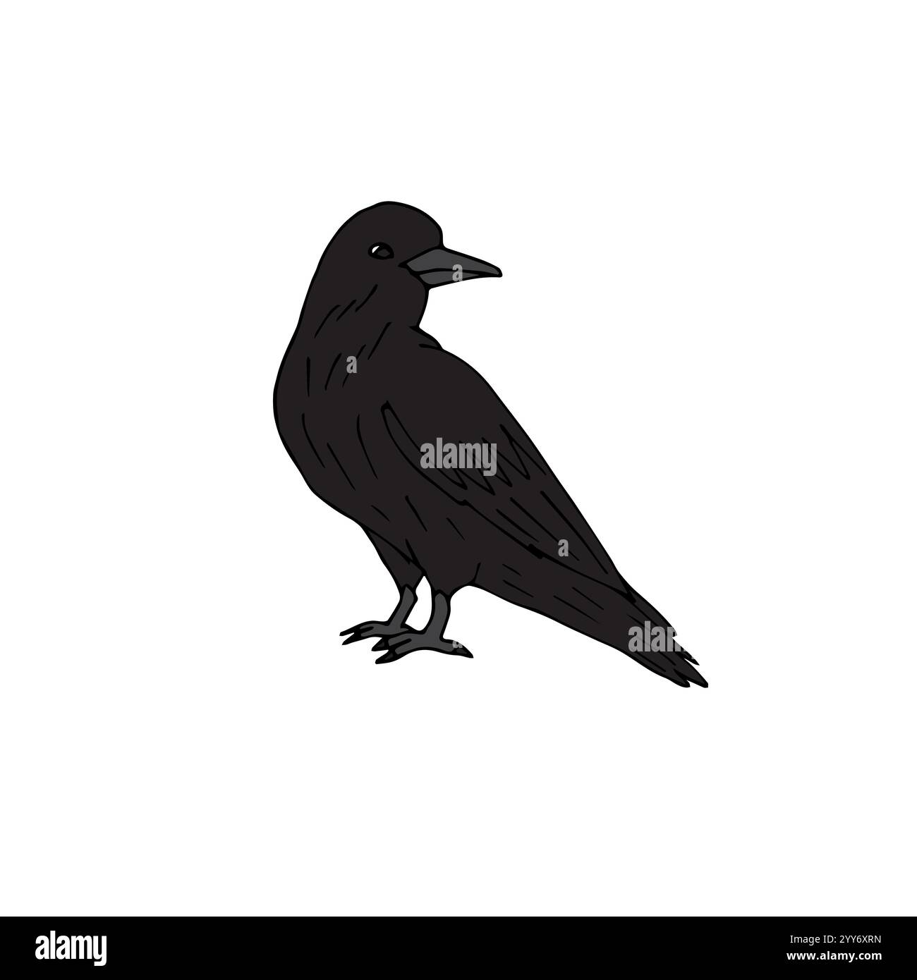 Vector hand drawn doodle sketch colored raven isolated on white ...