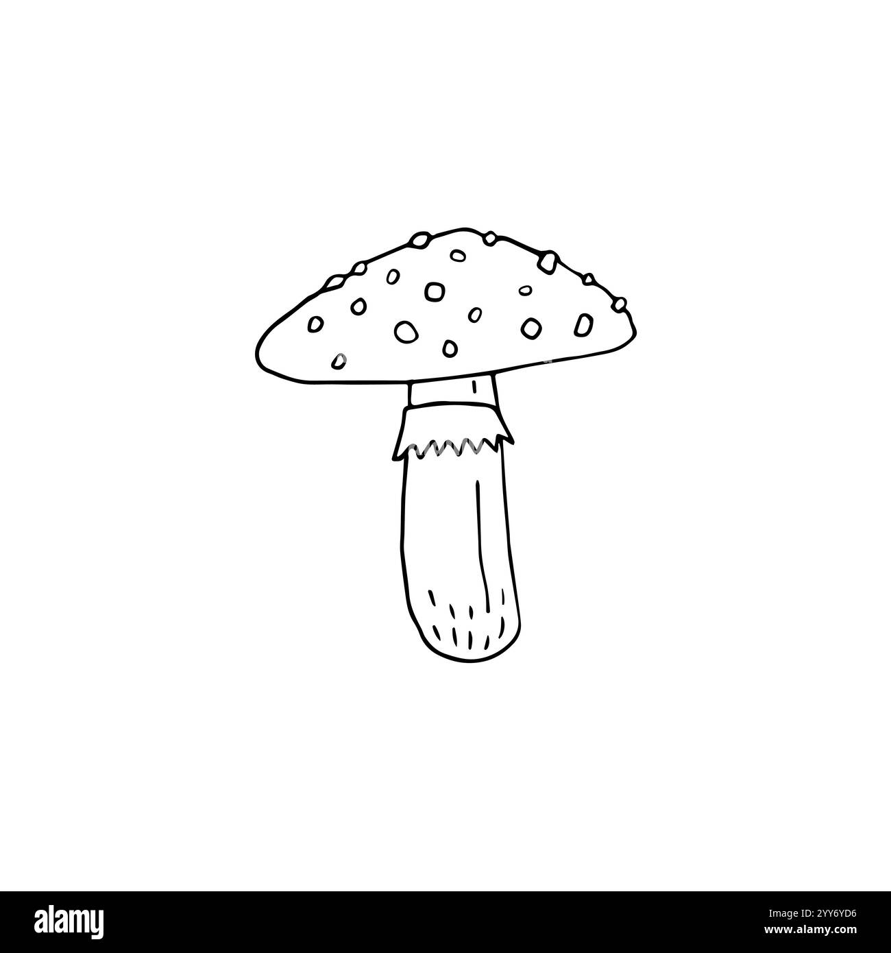 Vector hand drawn doodle sketch fly agaric mushroom isolated on white background Stock Vector ...