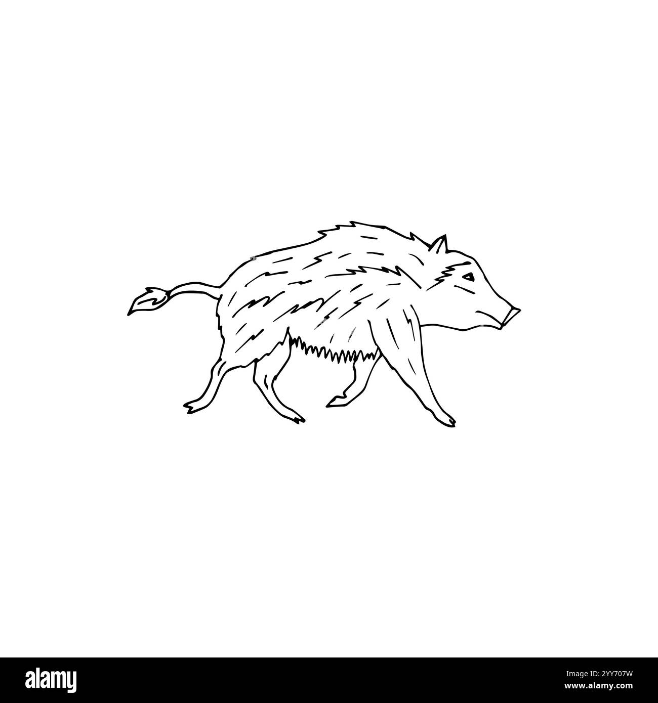 Vector hand drawn doodle sketch wild boar isolated on white background ...