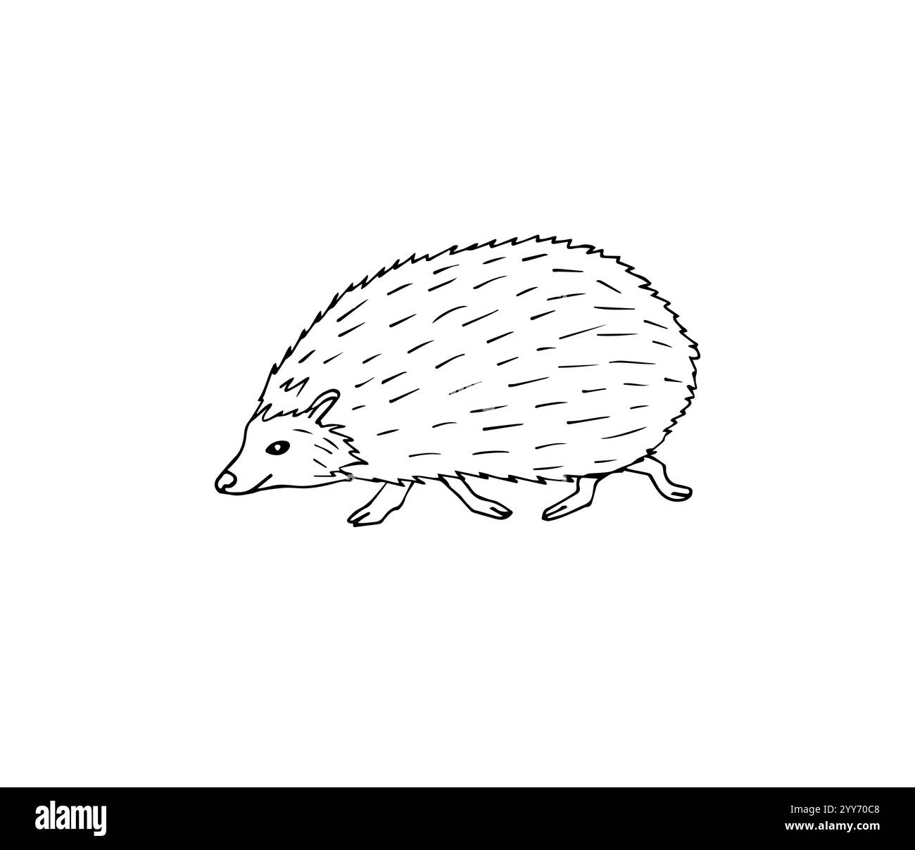 Vector hand drawn doodle sketch hedgehog isolated on white background ...