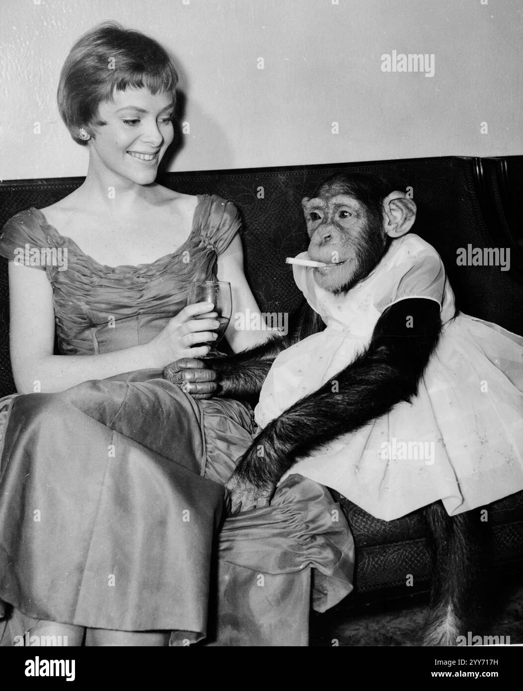 November 12, 1957, London, England, United Kingdom: LUCY the chimp ...