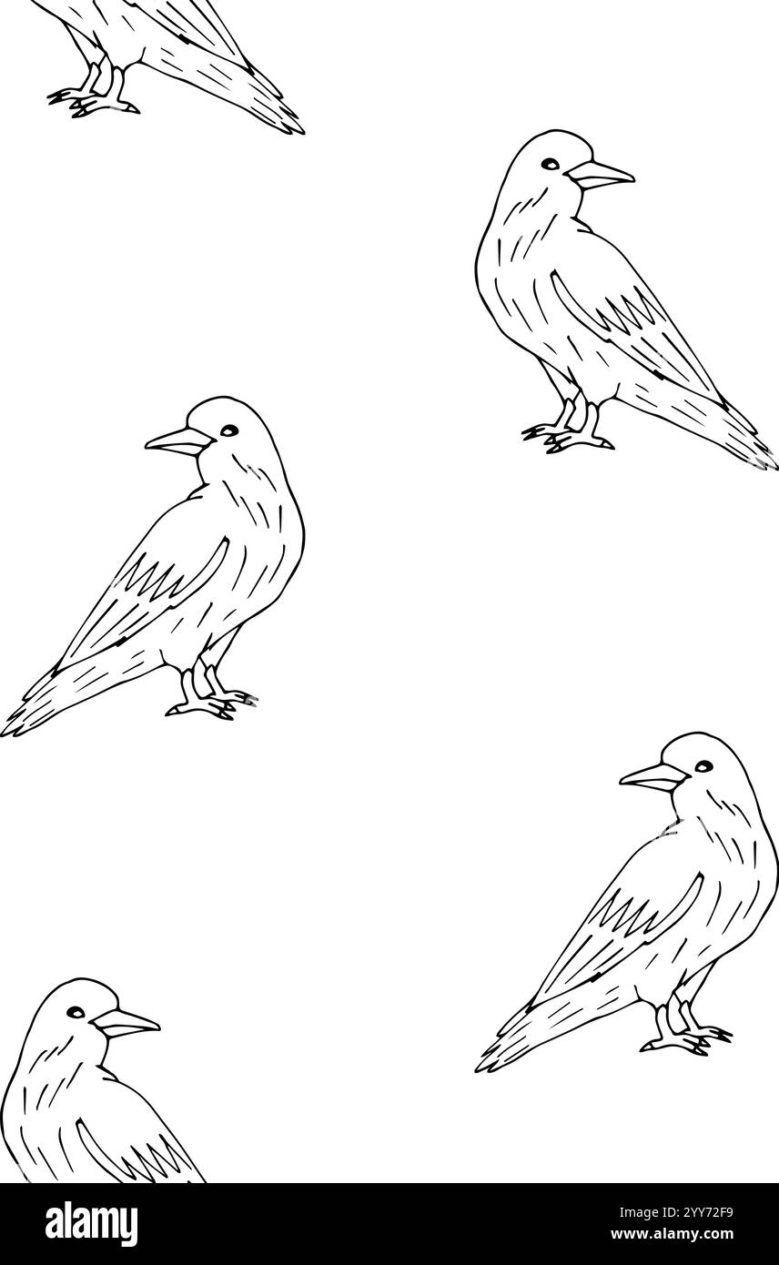 Vector seamless pattern of hand drawn doodle sketch raven isolated on ...