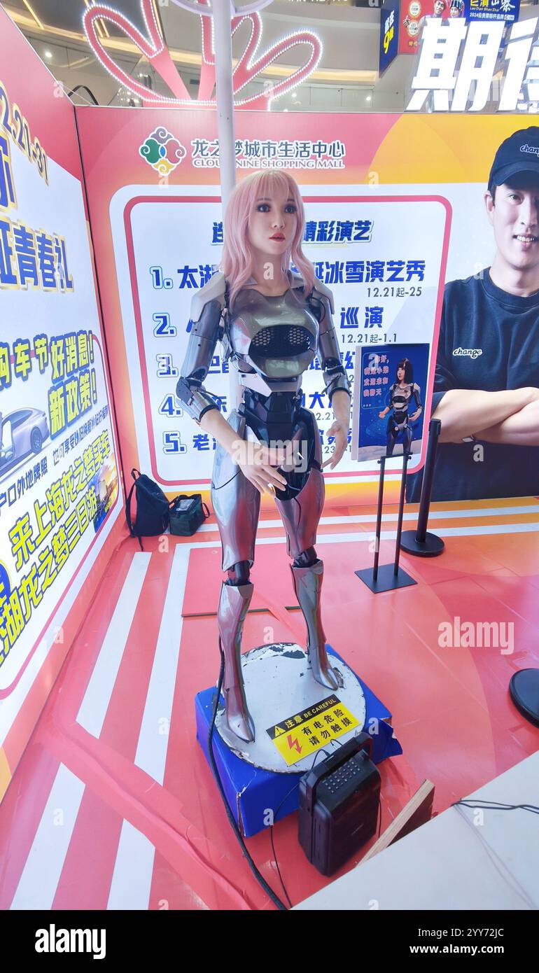 Shanghai, China. 20th Dec, 2024. SHANGHAI, CHINA - DECEMBER 19, 2024 ...