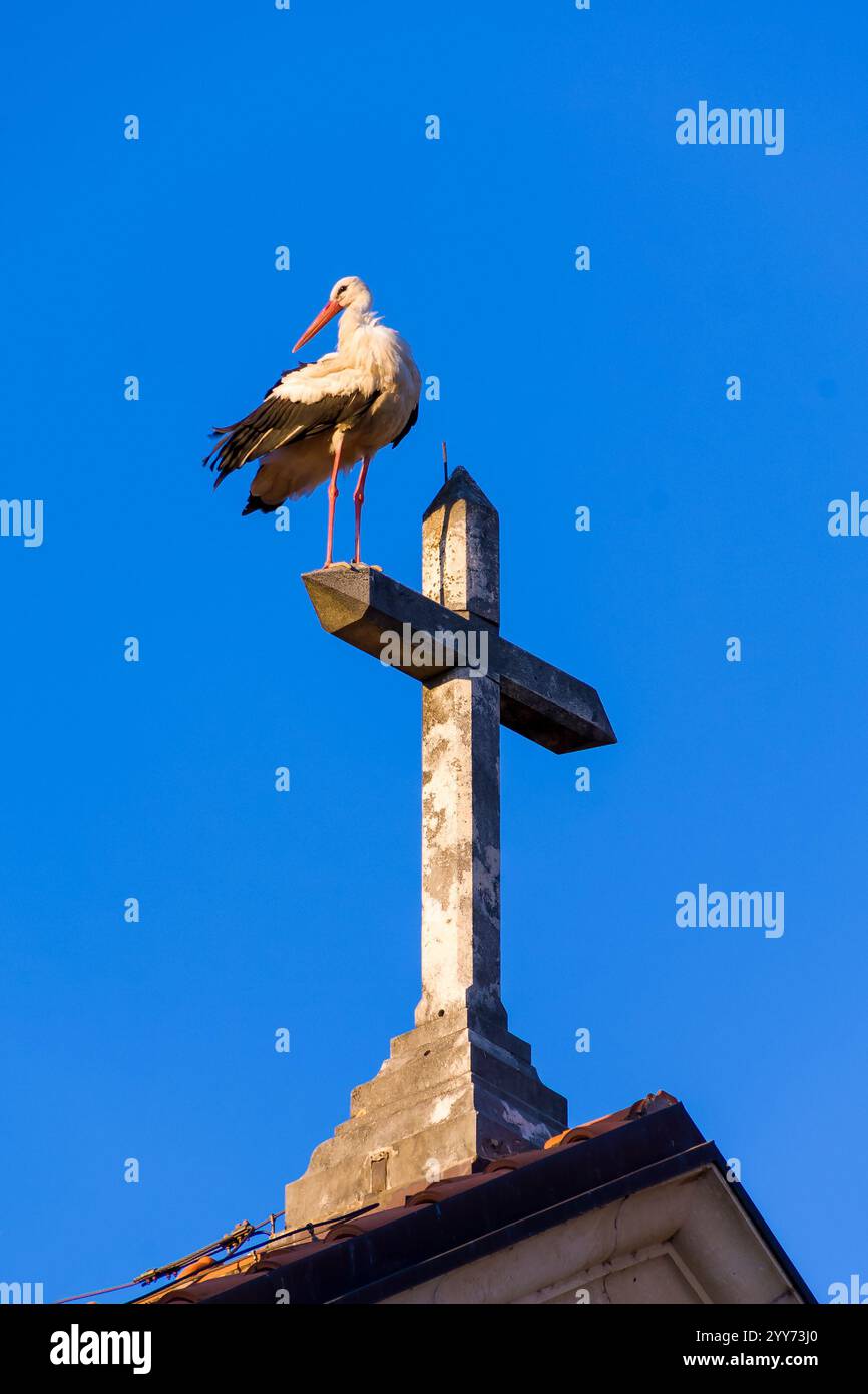 One stork at the top of the church and the white cross Stock Photo - Alamy