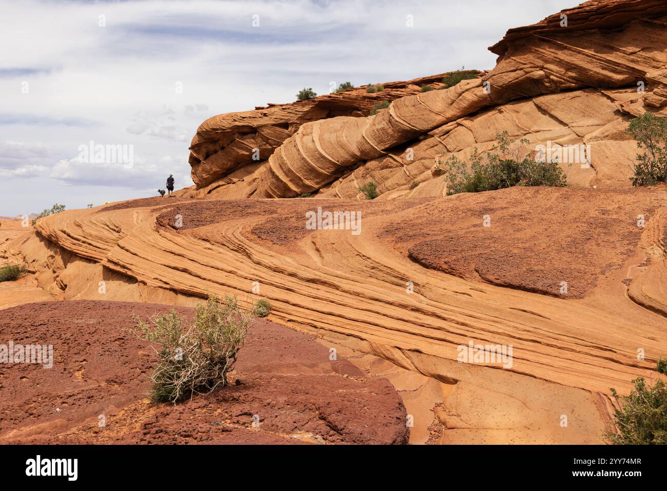 Rock formations desert vegetation hi-res stock photography and images ...