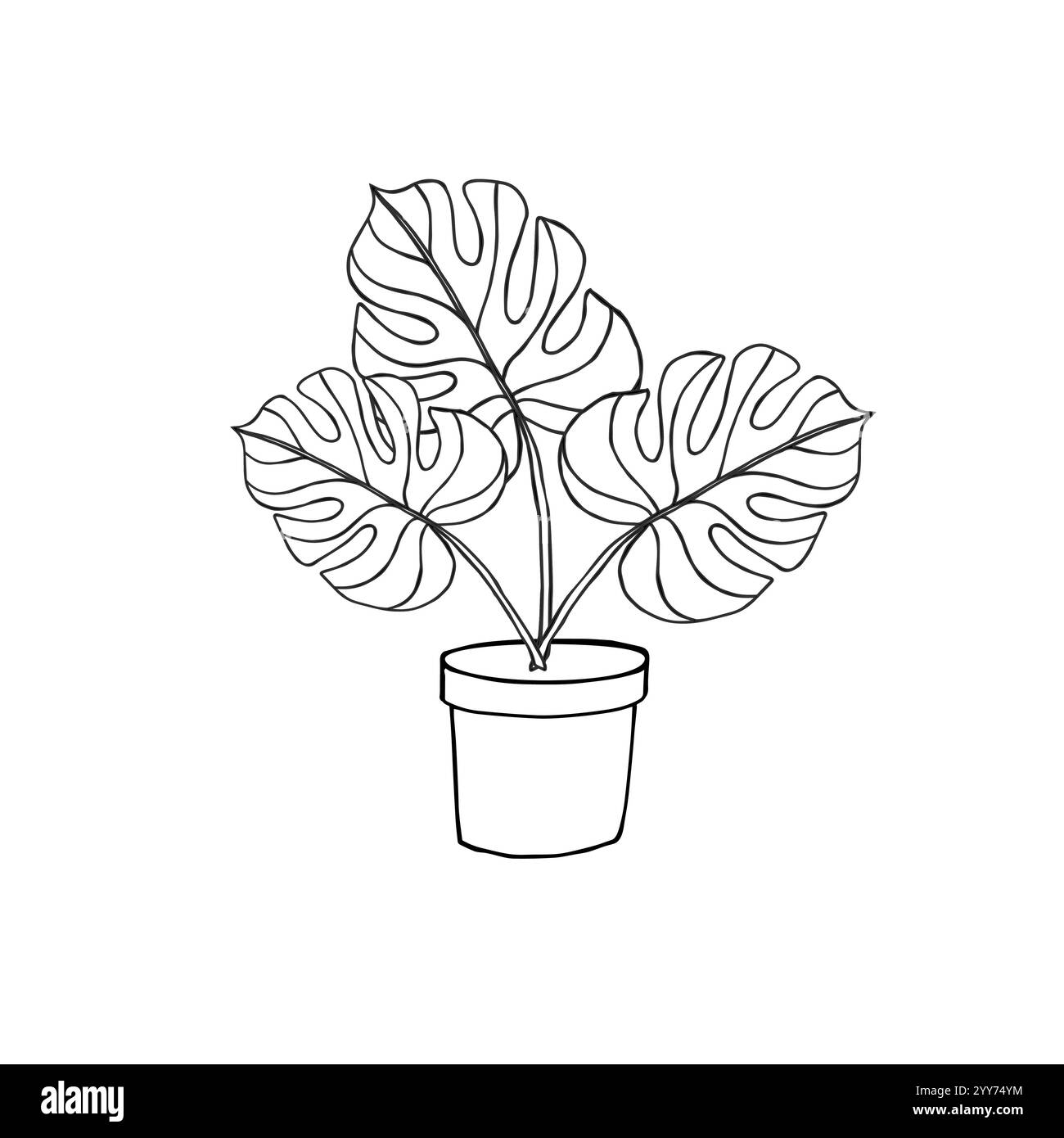 Vector hand drawn doodle sketch monstera in pot isolated on white background Stock Vector Image ...
