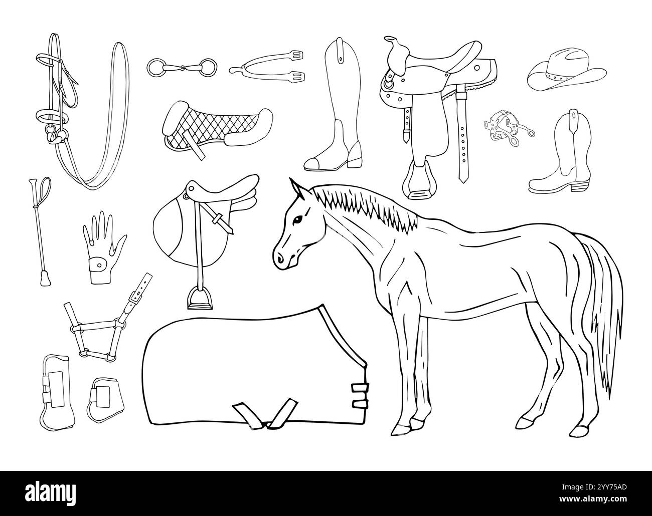 Vector set bundle of hand drawn doodle sketch horse riding equestrian equipment isolated on ...