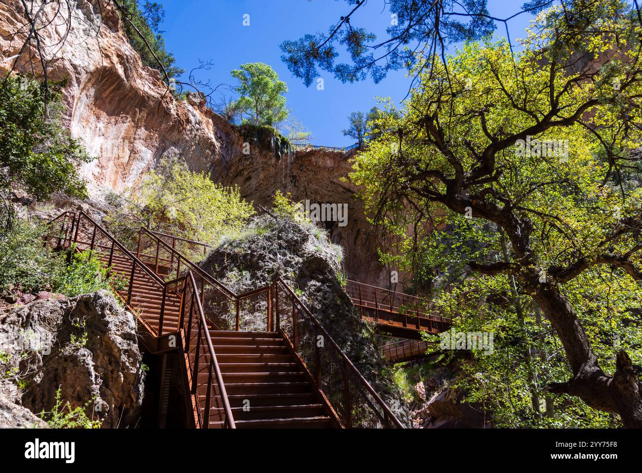 Looking up at the falls from the bottom of the observation decking at ...