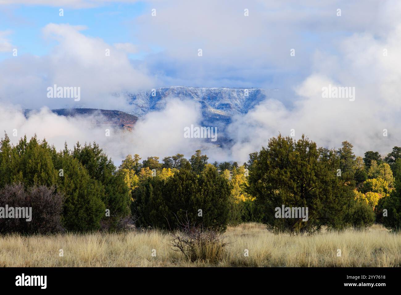 Mogollon rim snow hi-res stock photography and images - Alamy
