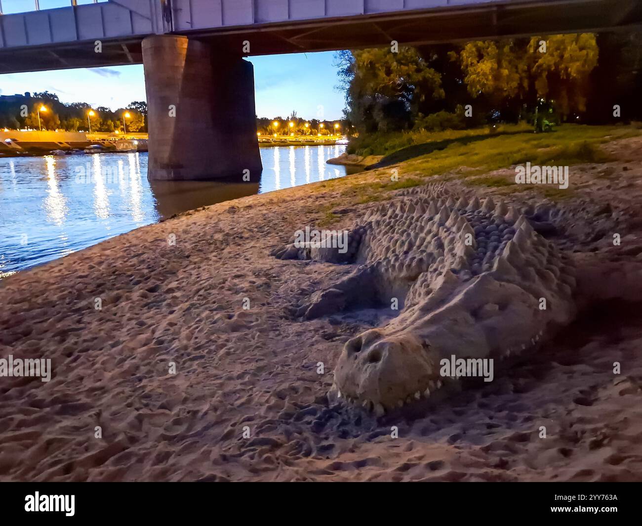 Sand crocodile in the beach of Tisza river at Szeged Stock Photo - Alamy