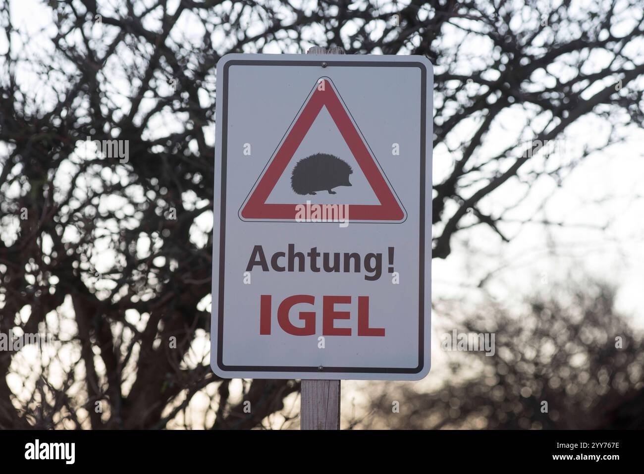 Attention animal crossing traffic or road sign, red triangle as warning ...