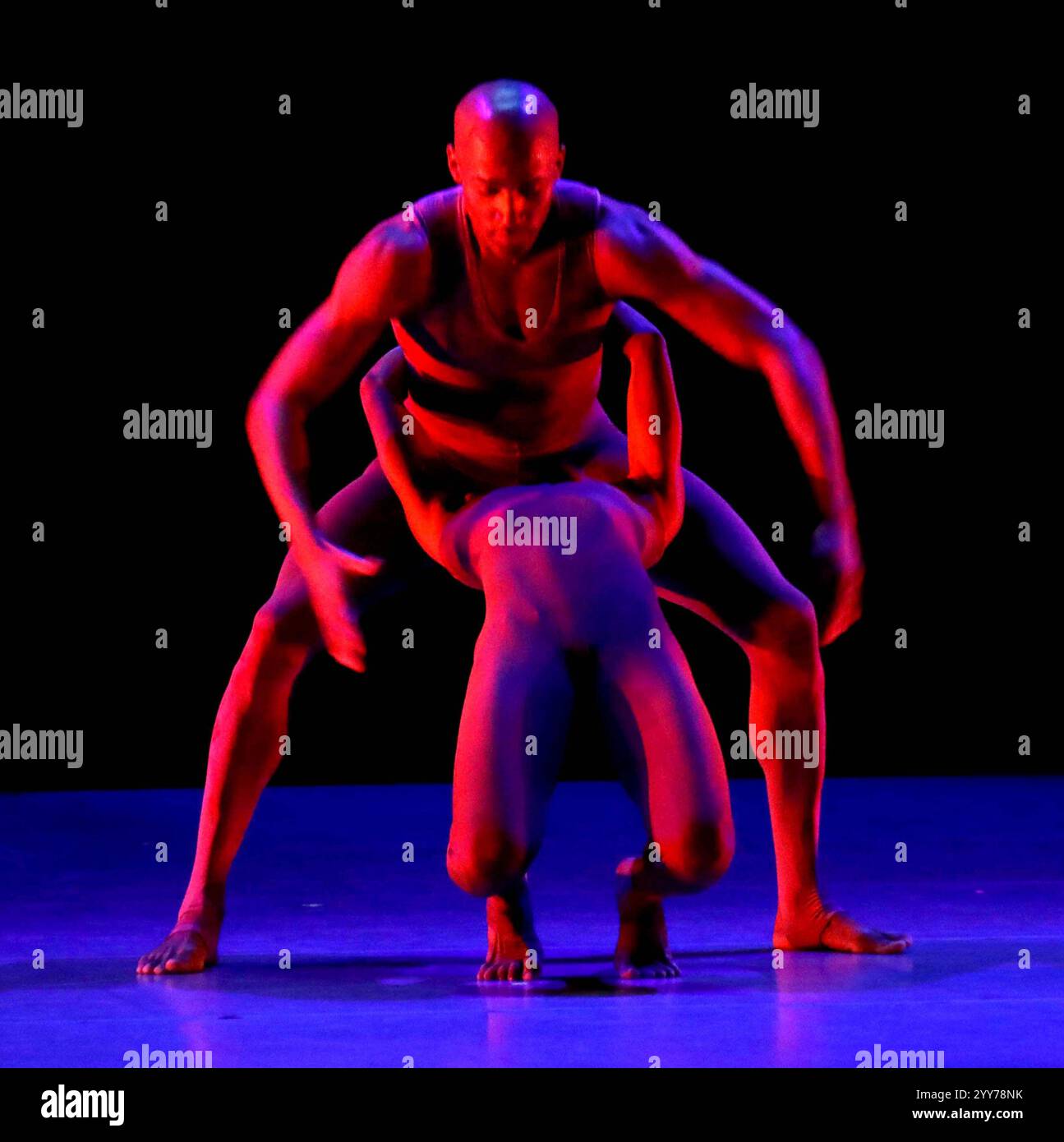 December 19, 2024, New York, New York, USA: Alvin Ailey Dancers (L-R ...