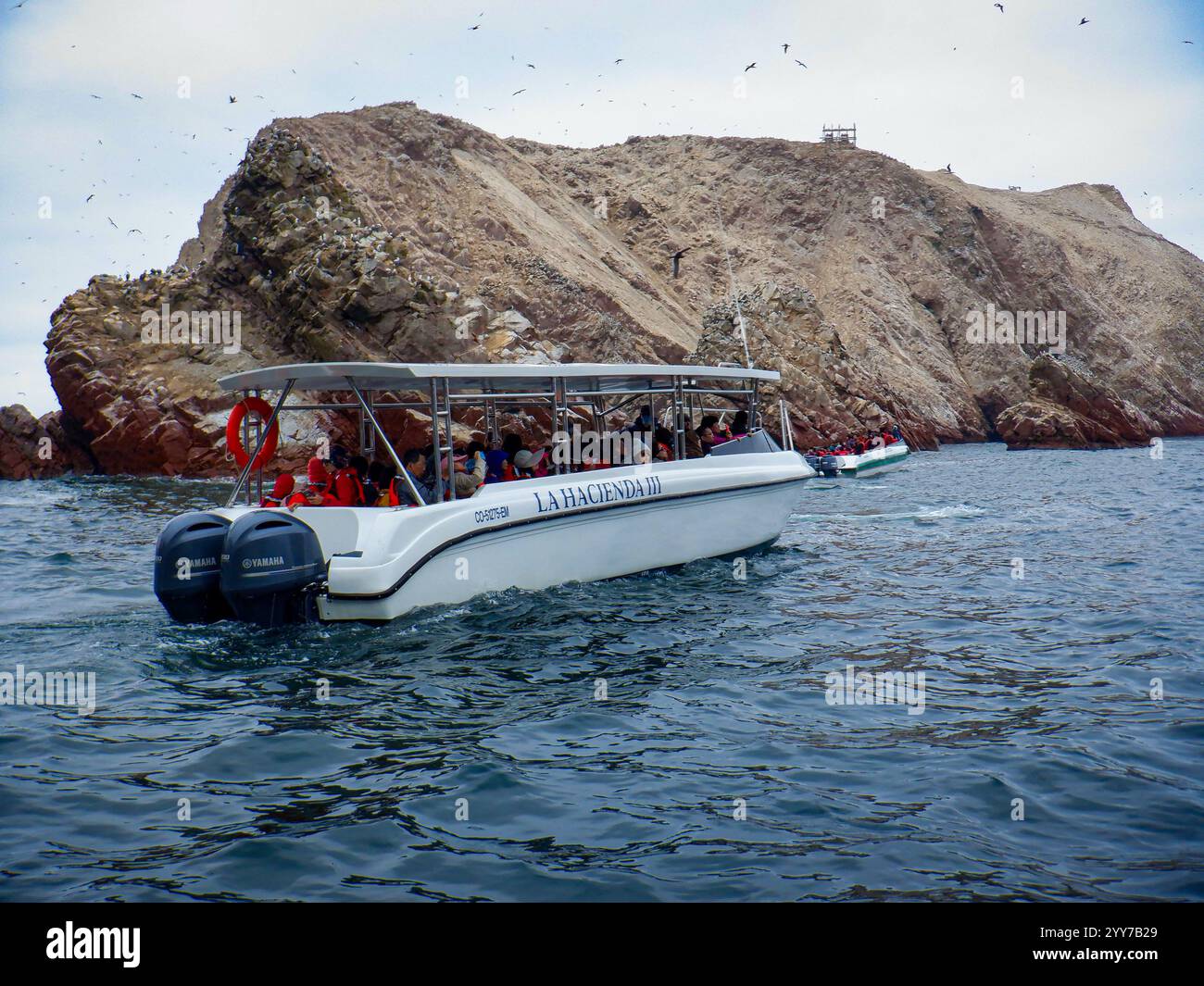 Bird Watching is a Popular Boat Tour at Islas Ballestas, Paracas ...