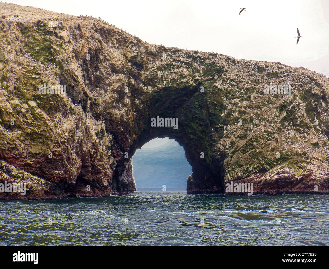 Natural rock arch in Paracas National Reserve, Peru Stock Photo - Alamy
