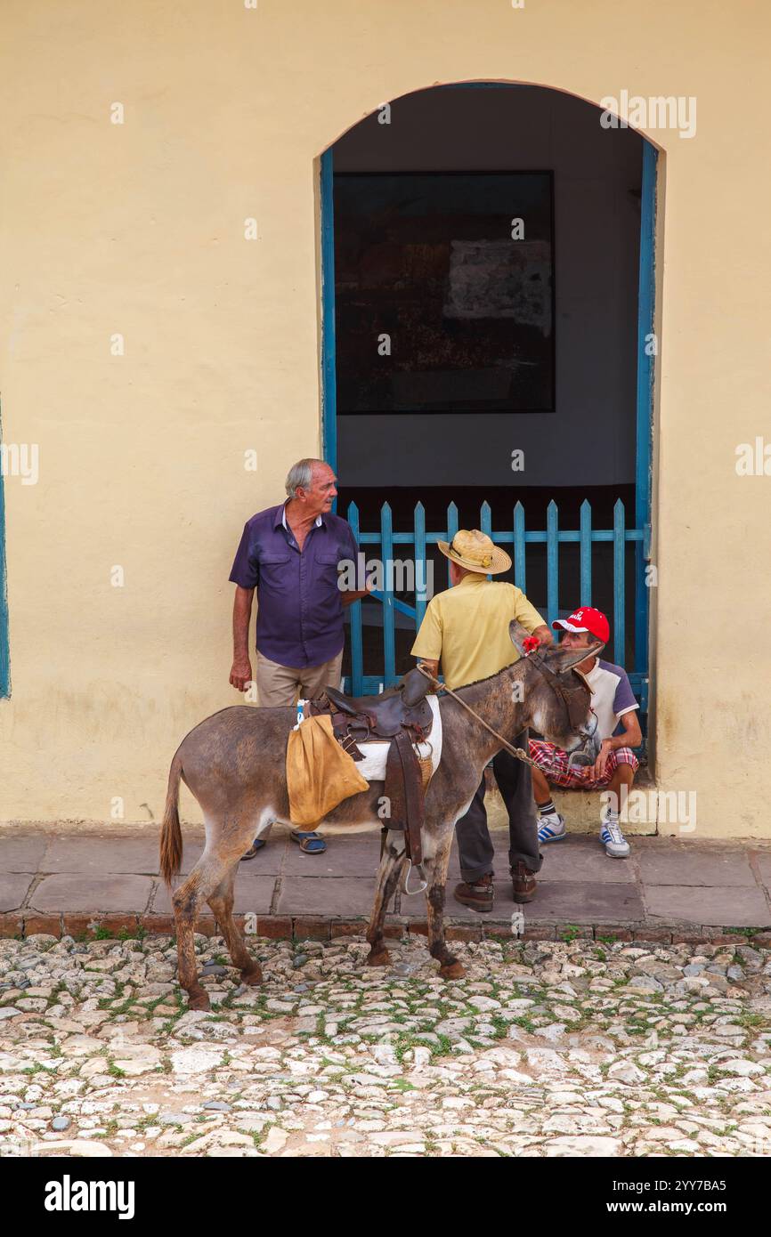 A donkey and cuban people on a typical cobblestone street and a window ...