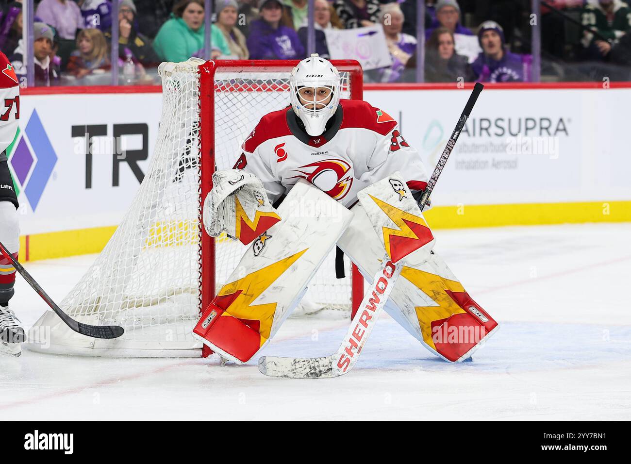 November 19th, 2024: Ottawa Charge goalie Gwyneth Philips (33) looks on ...