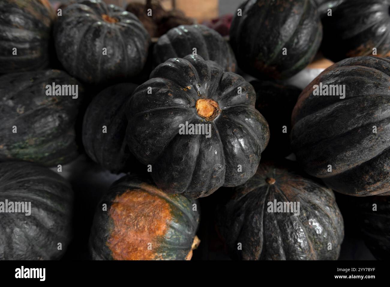 Kabocha squash or Japanese pumpkin Stock Photo - Alamy