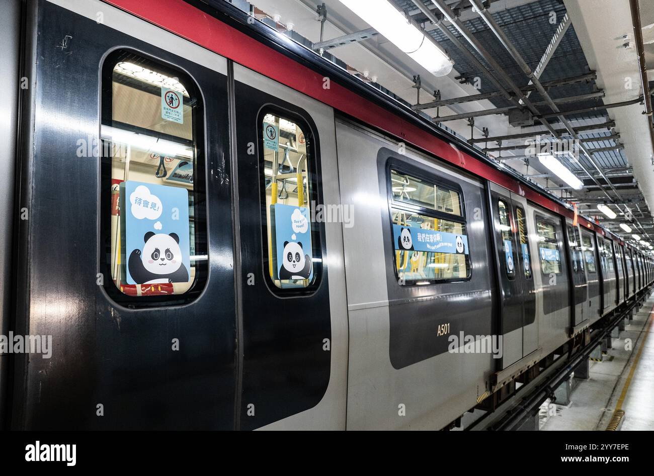 **CHINESE MAINLAND, HONG KONG, MACAU AND TAIWAN OUT** Panda themed ...