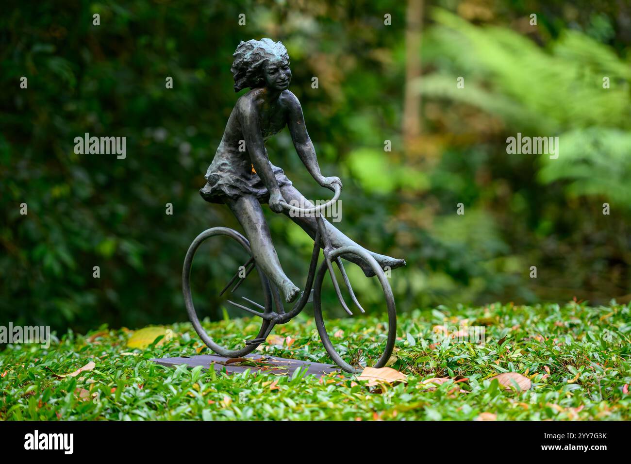 The Girl on a bicycle statue at the Singapore Botanic Garden Stock ...