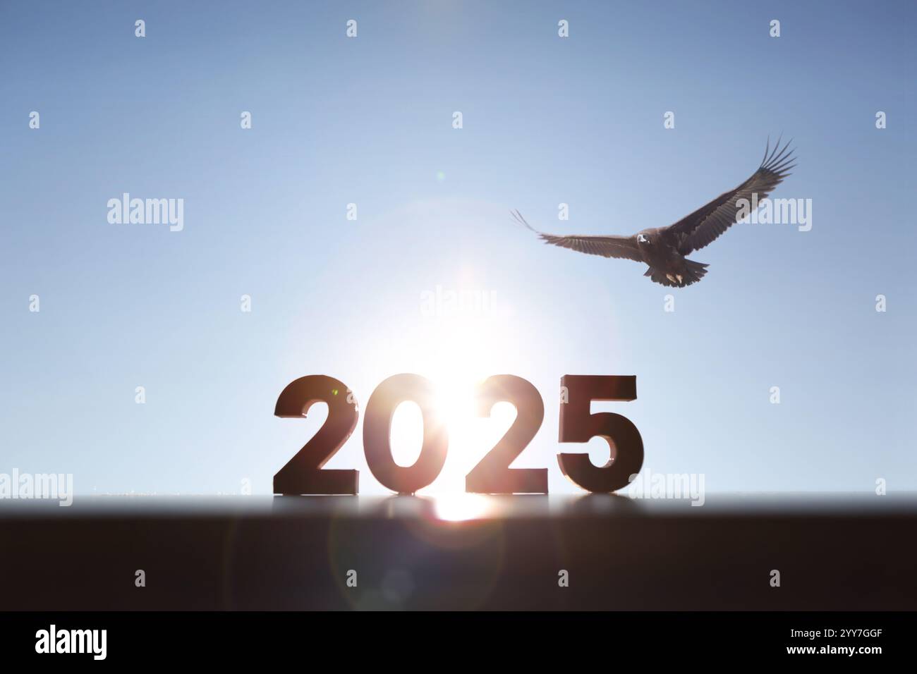 2025 New Year Bright rising sun and sunrise and an eagle flying high in the sky with its wings ...
