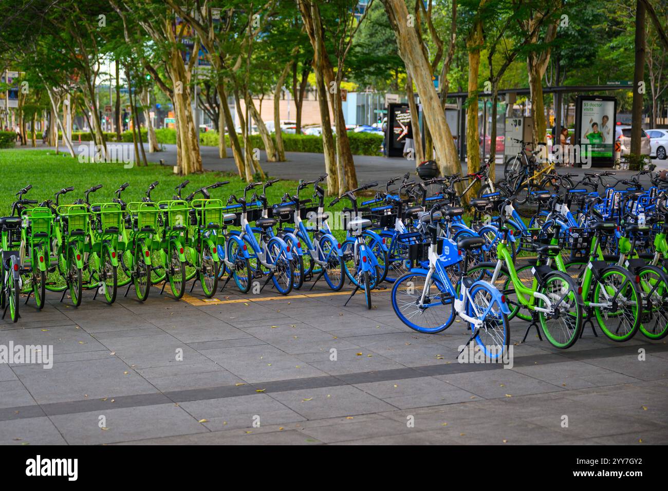 Eco friendly bike rental in Singapore Stock Photo - Alamy