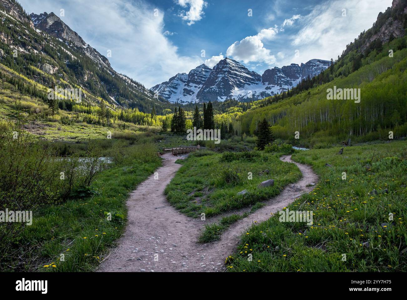 Trails meander through lush green meadows under the Maroon Bells ...