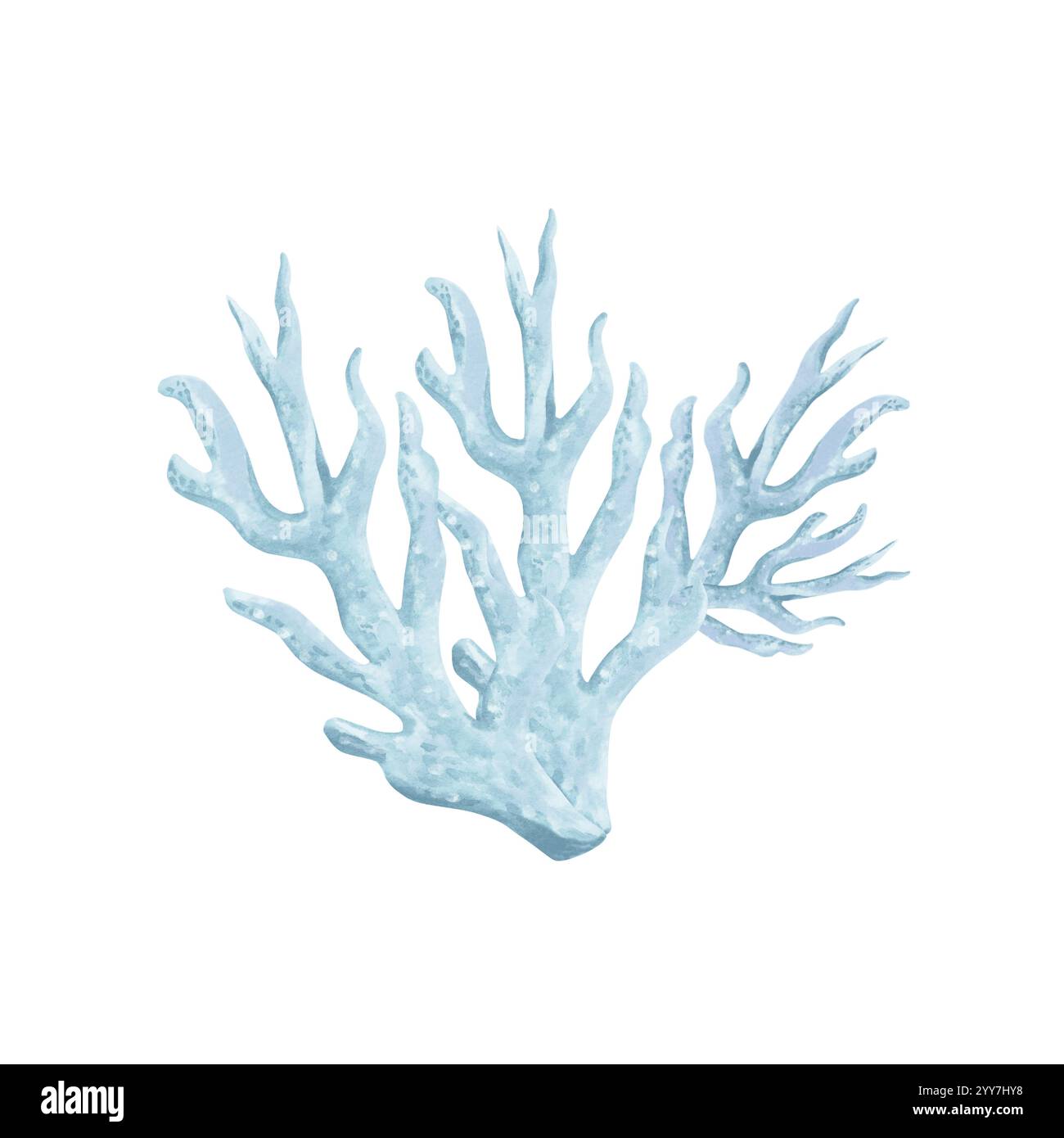 Underwater blue gray coral. Hand drawn watercolor illustration isolated ...