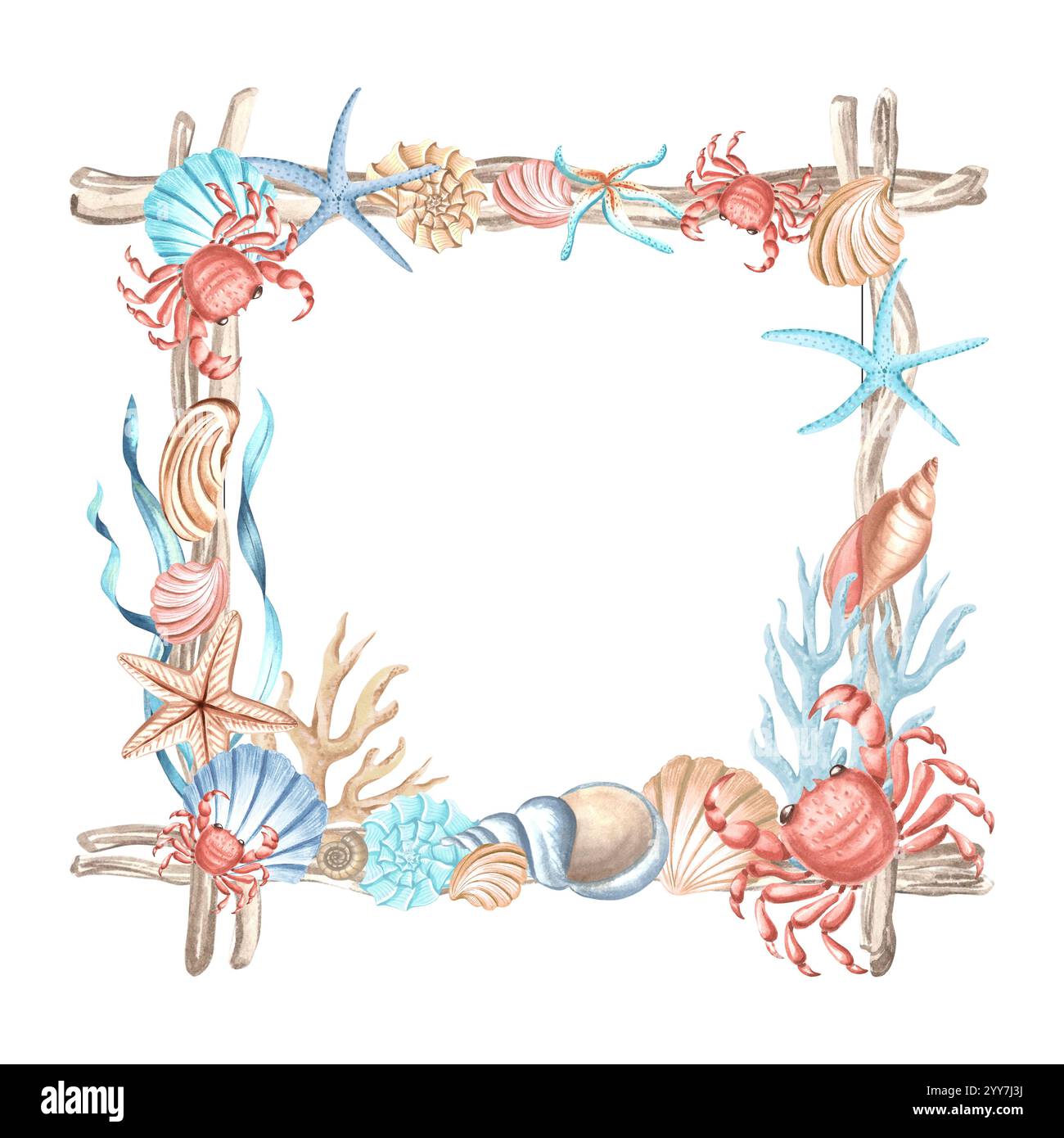 Crabs, seashells with corals and seaweed with starfishes. Square frame ...