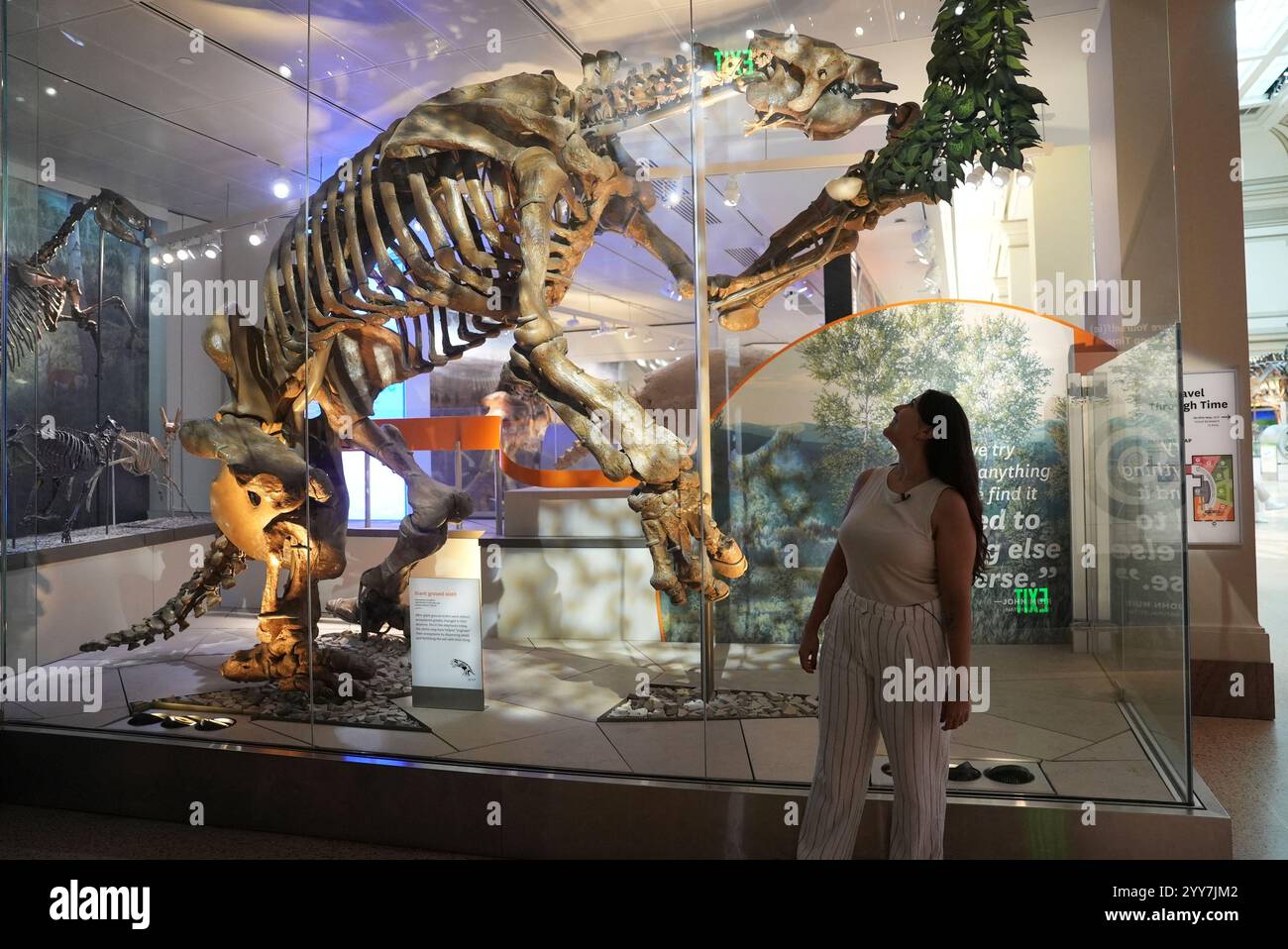 Paleontologist Thaís Pansani stands in front the reconstructed skeleton ...