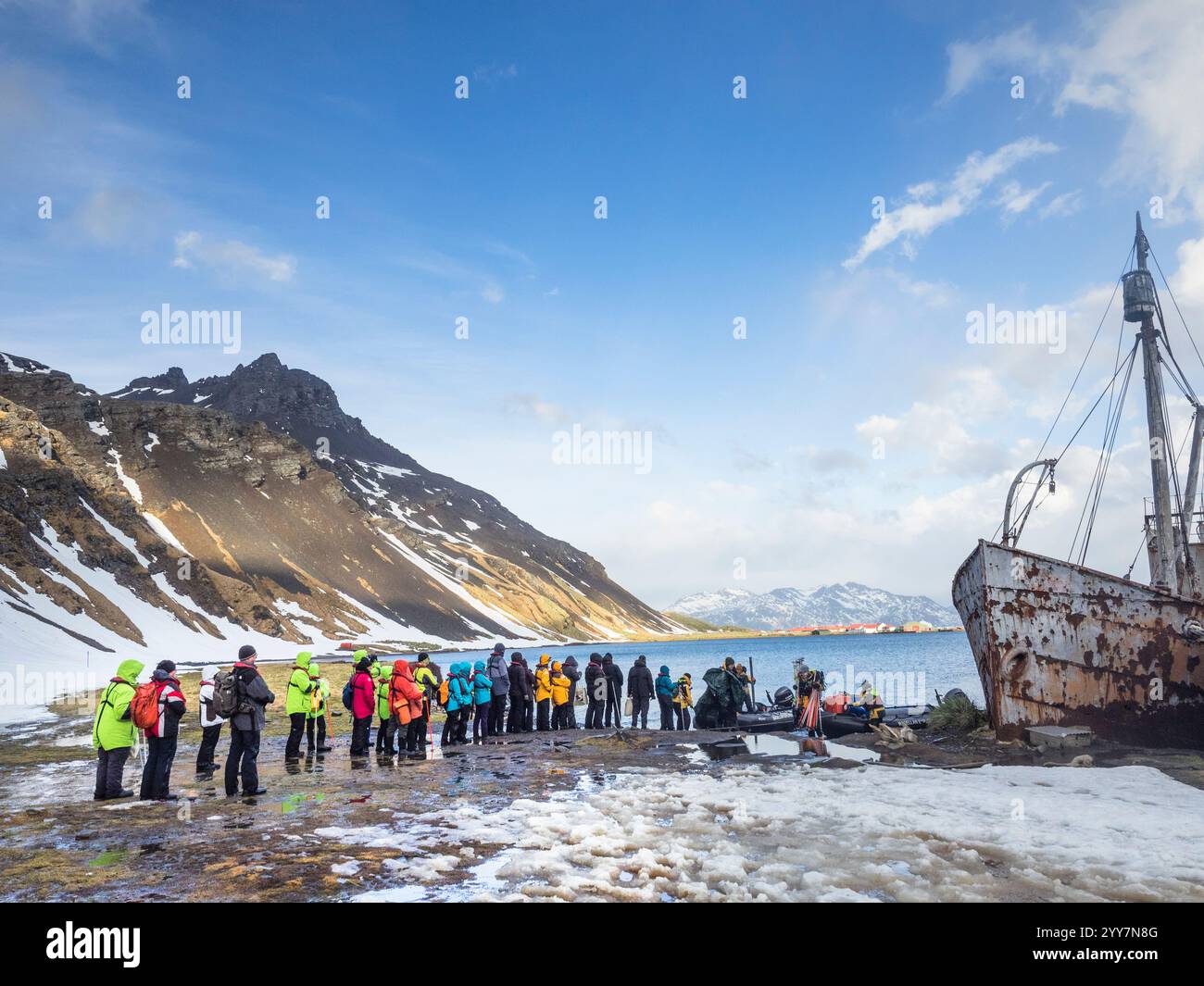 Expedition cruise tourists lining up for zodiacs with King Edward Cove (c), Mt Duse (l) and the ...