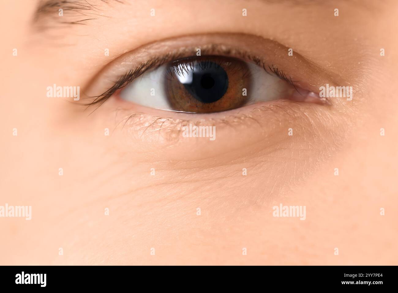 Eye of man, closeup view Stock Photo - Alamy