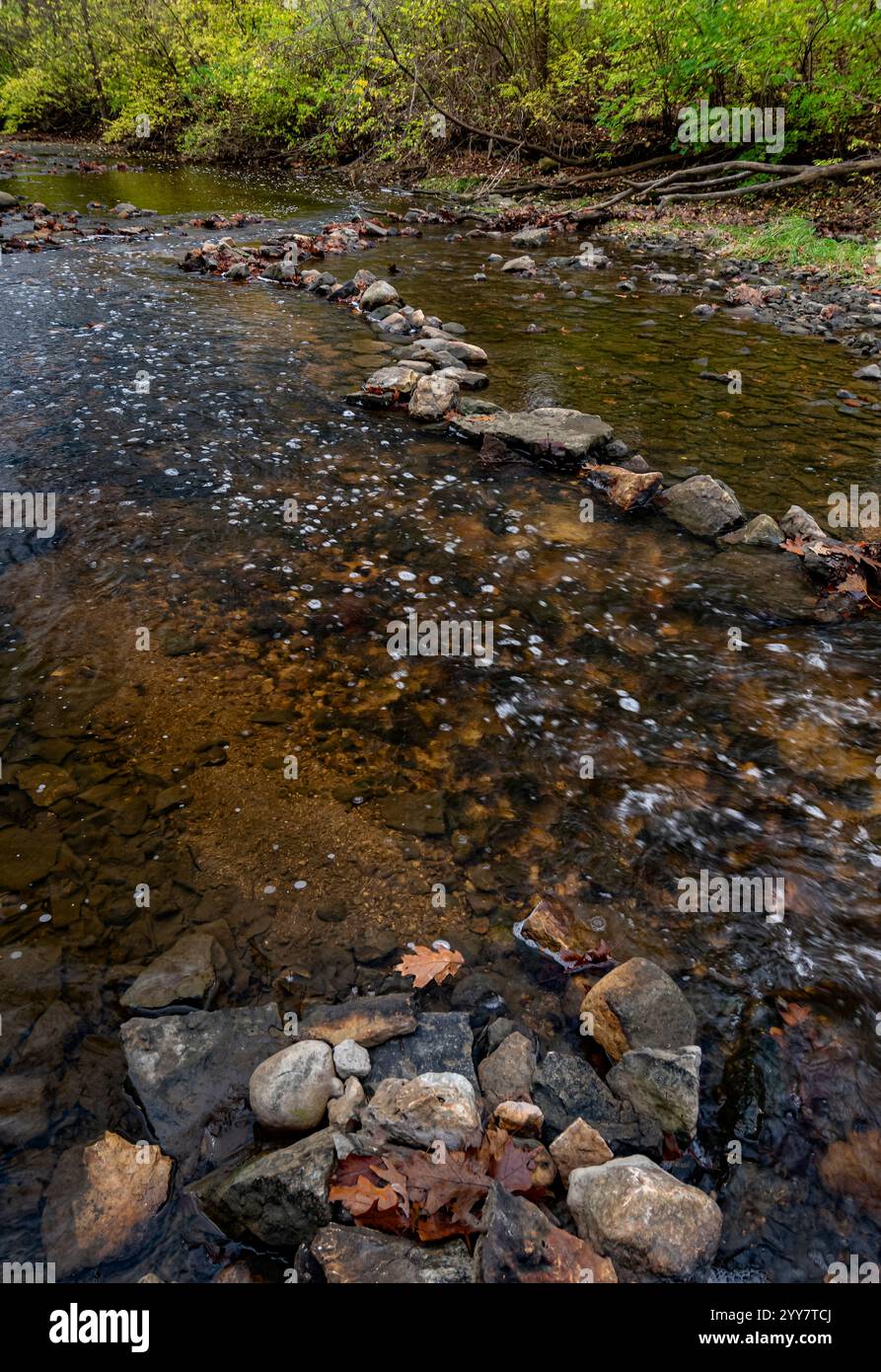 Foam dots created by water flowing over rocks flow downstream in ...