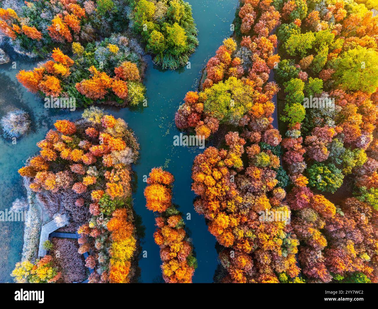 Aerial photo shows the winter scenery of Xixi Wetland Park in Hangzhou ...