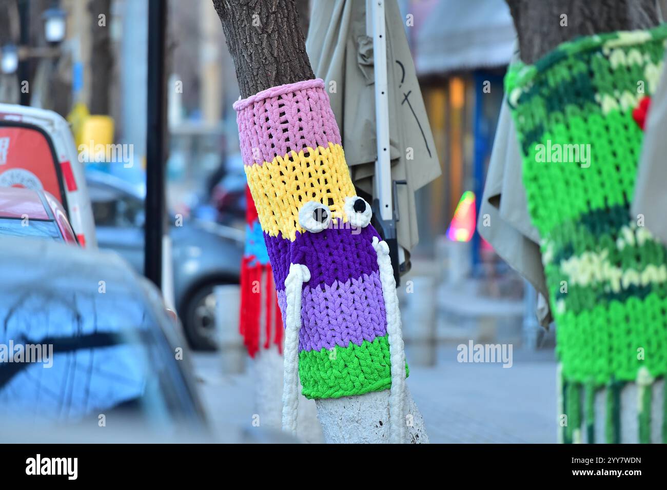 Trees on the street are put on brightly colored "sweaters" for winter ...