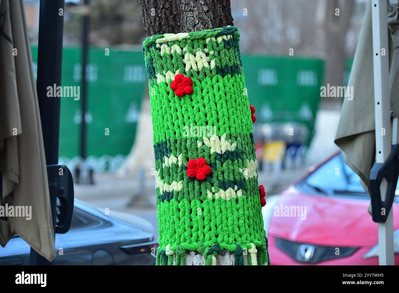 Trees on the street are put on brightly colored "sweaters" for winter ...
