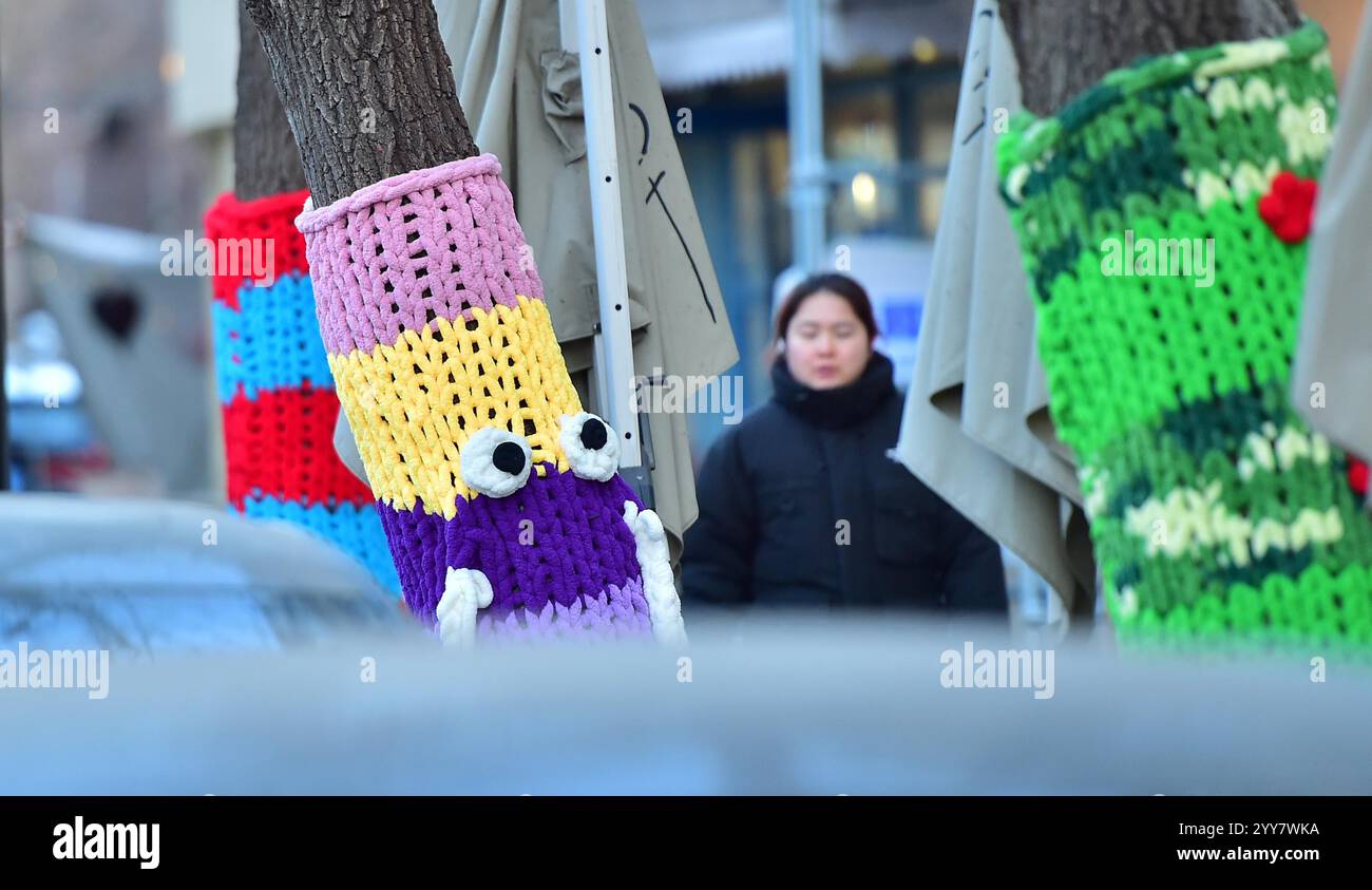 Trees on the street are put on brightly colored "sweaters" for winter ...