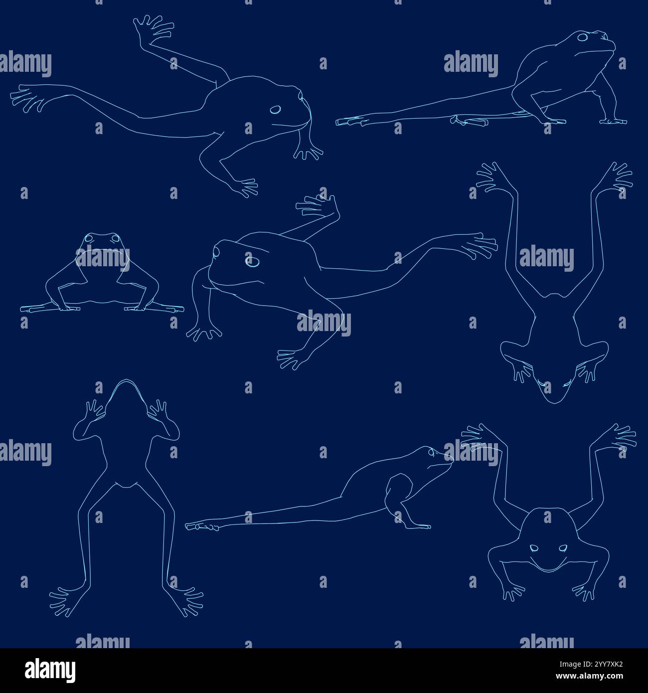 Vector illustration of set contour frog Stock Vector Image & Art - Alamy