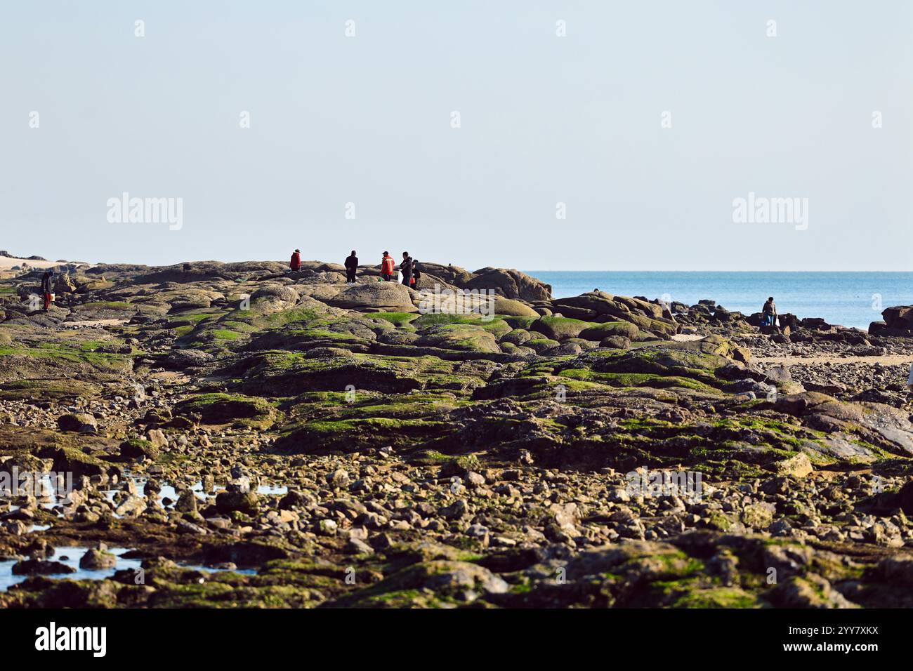 People go beachcombing at seaside in Rizhao City, east China's Shandong ...