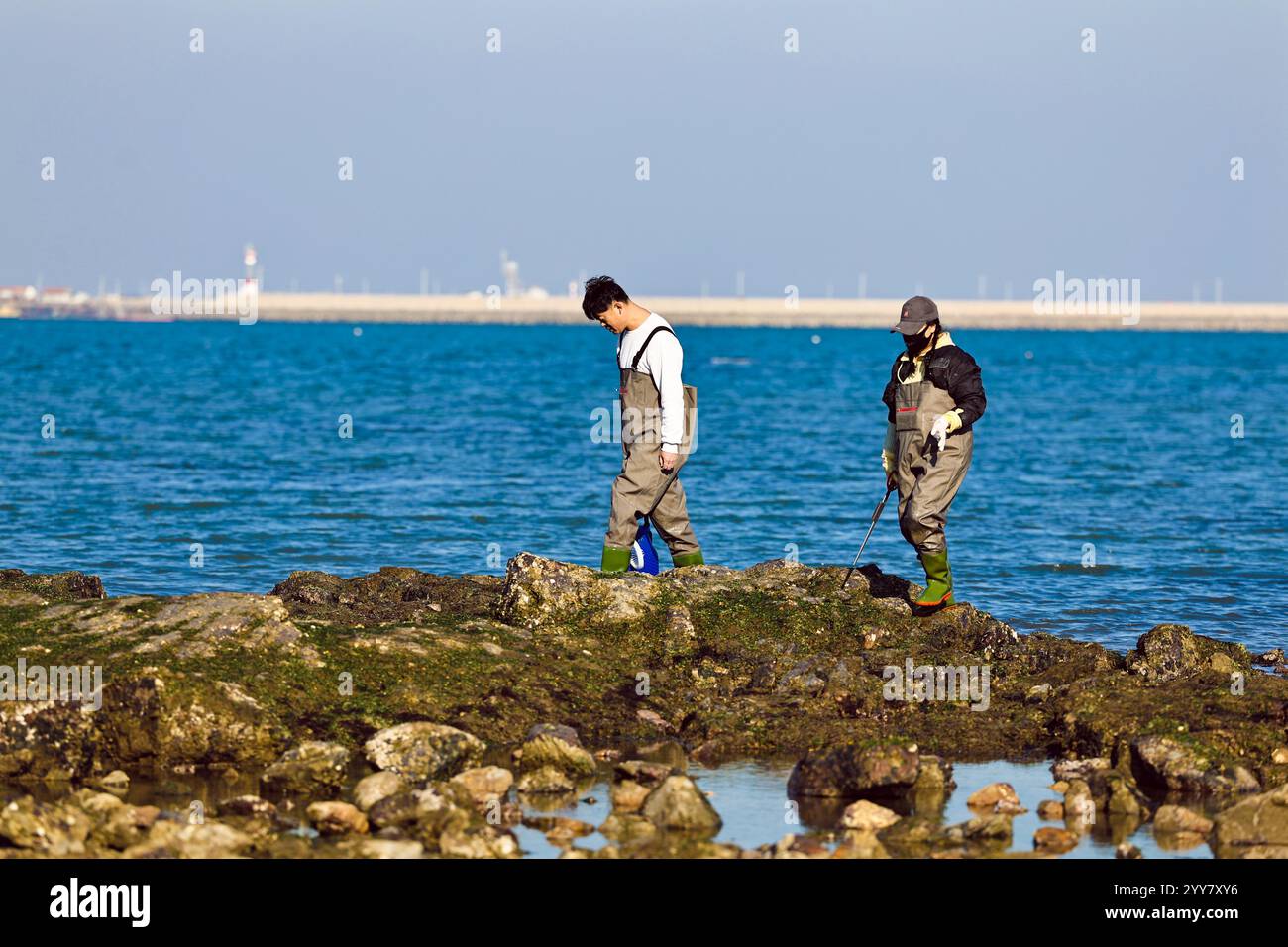 People go beachcombing at seaside in Rizhao City, east China's Shandong ...