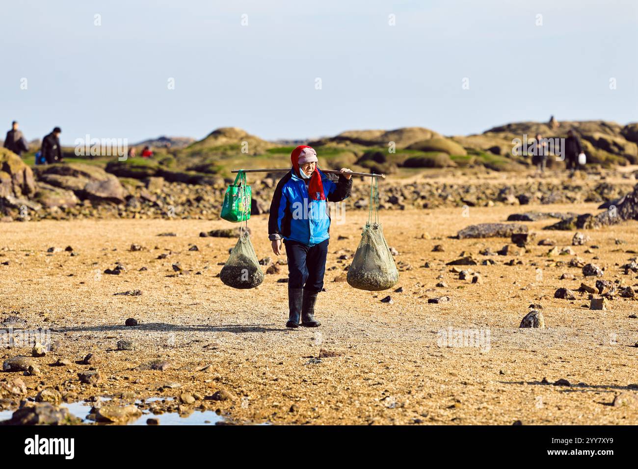 People go beachcombing at seaside in Rizhao City, east China's Shandong ...