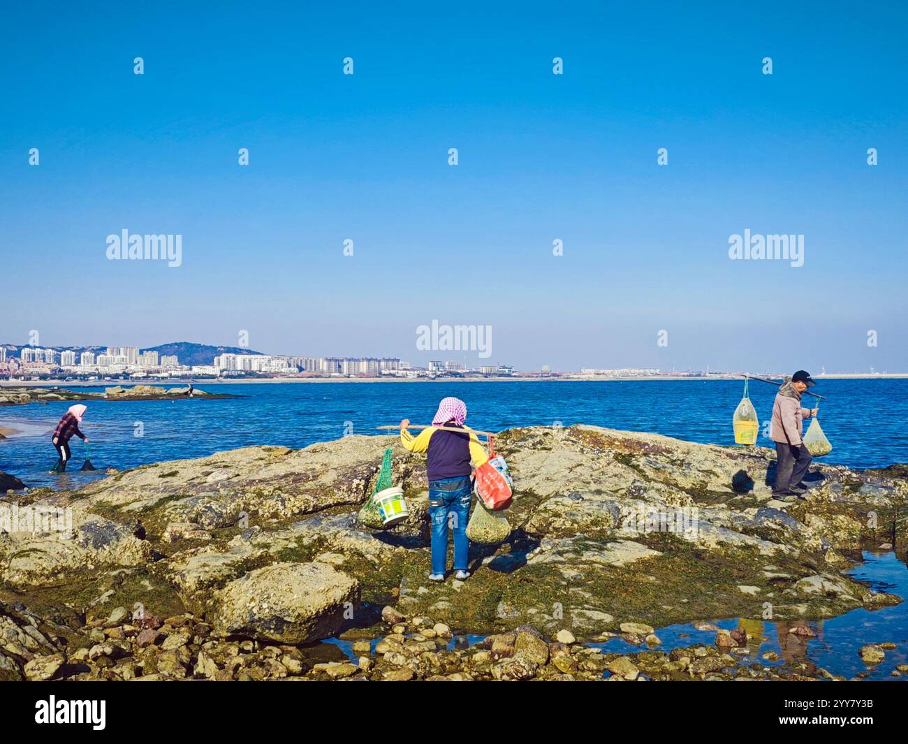 People go beachcombing at seaside in Rizhao City, east China's Shandong ...