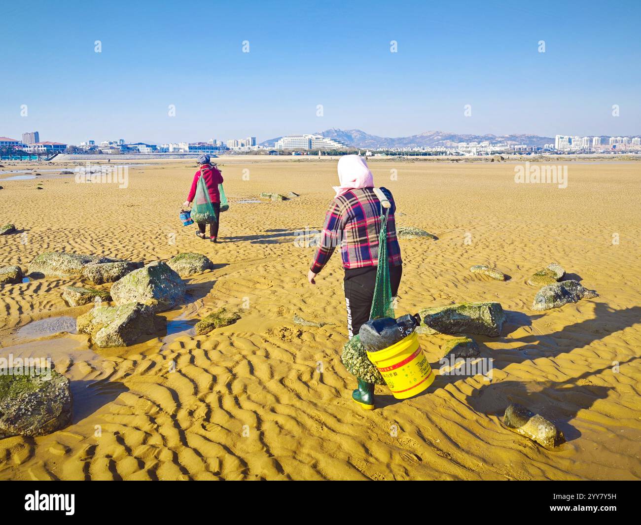 People go beachcombing at seaside in Rizhao City, east China's Shandong ...